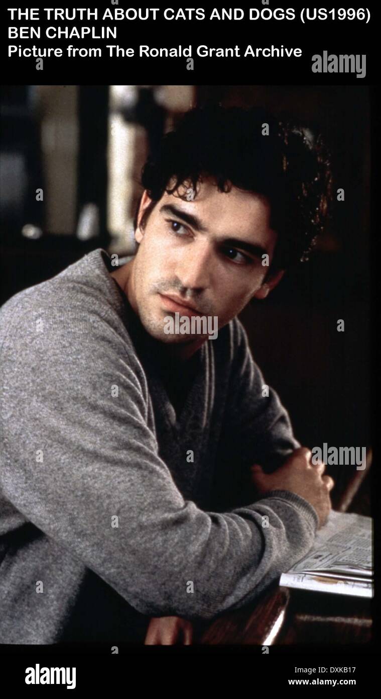 THE TRUTH ABOUT CATS AND DOGS Stock Photo - Alamy