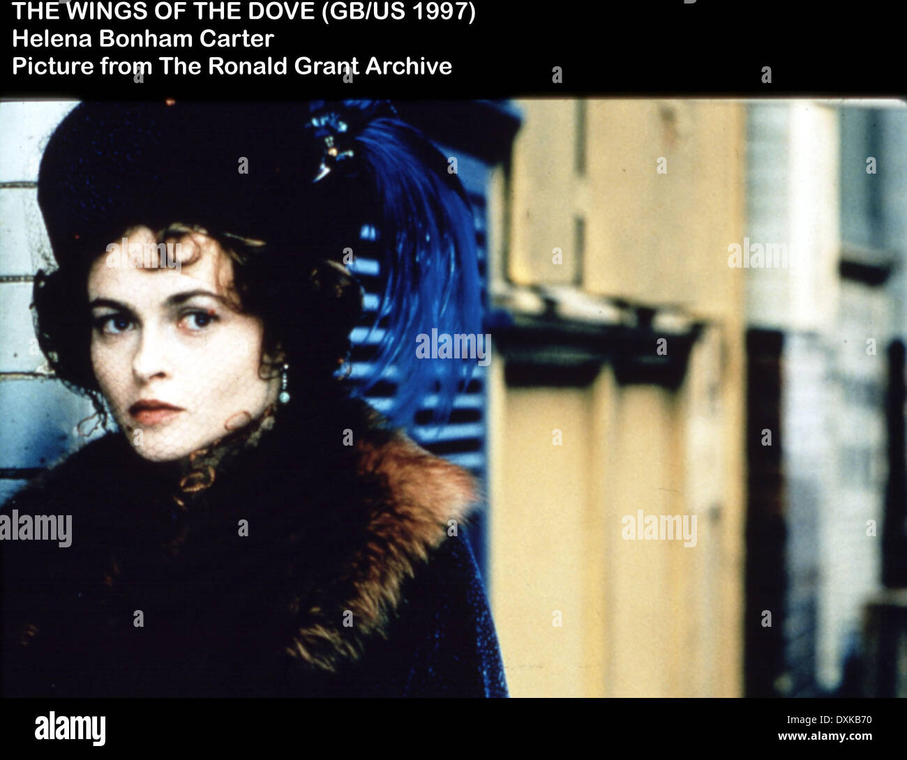 Wings of the dove helena hi-res stock photography and images - Alamy