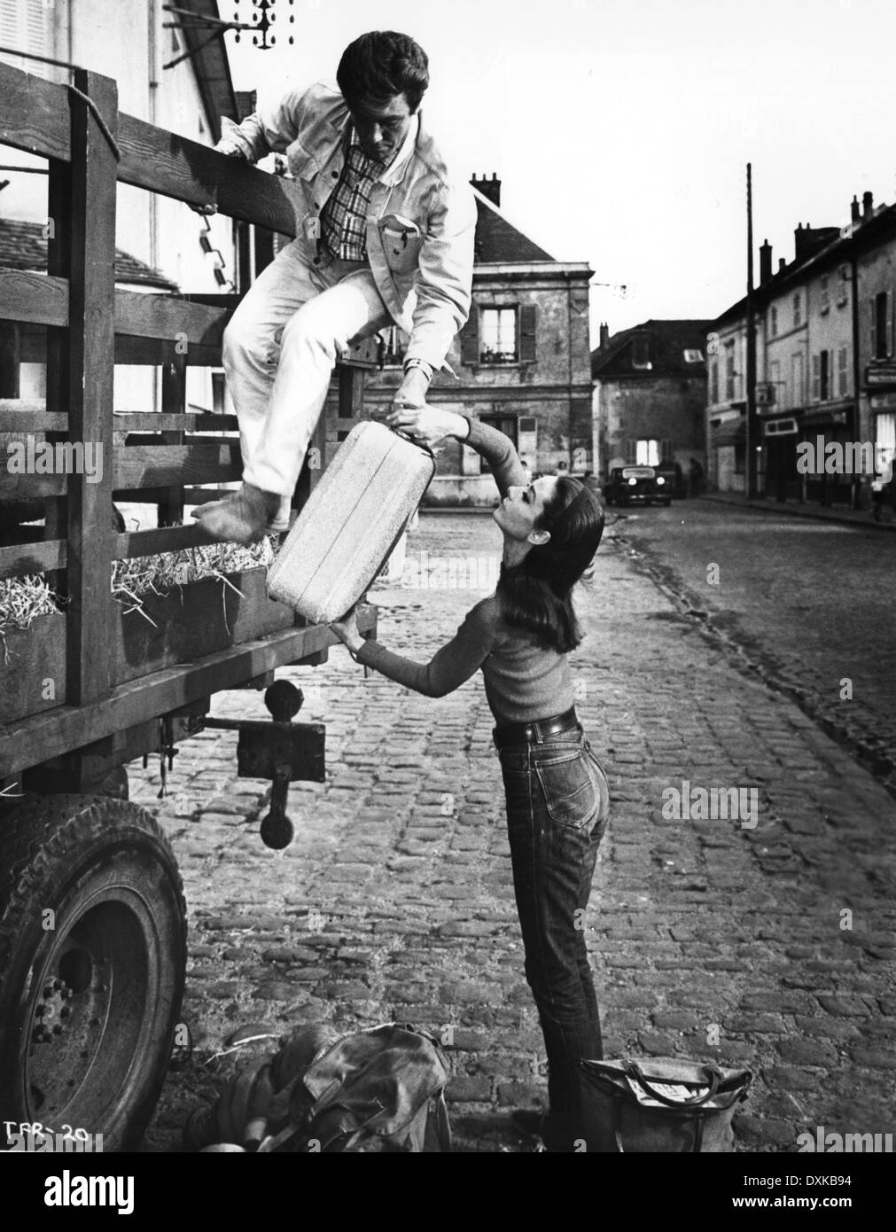 Two fox Black and White Stock Photos & Images - Alamy