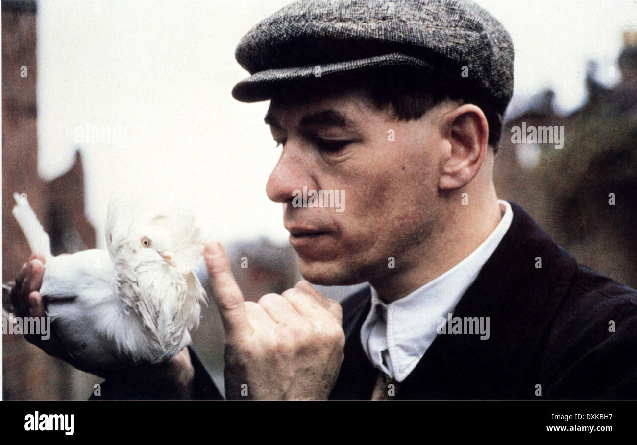 Ian walter hi-res stock photography and images - Alamy