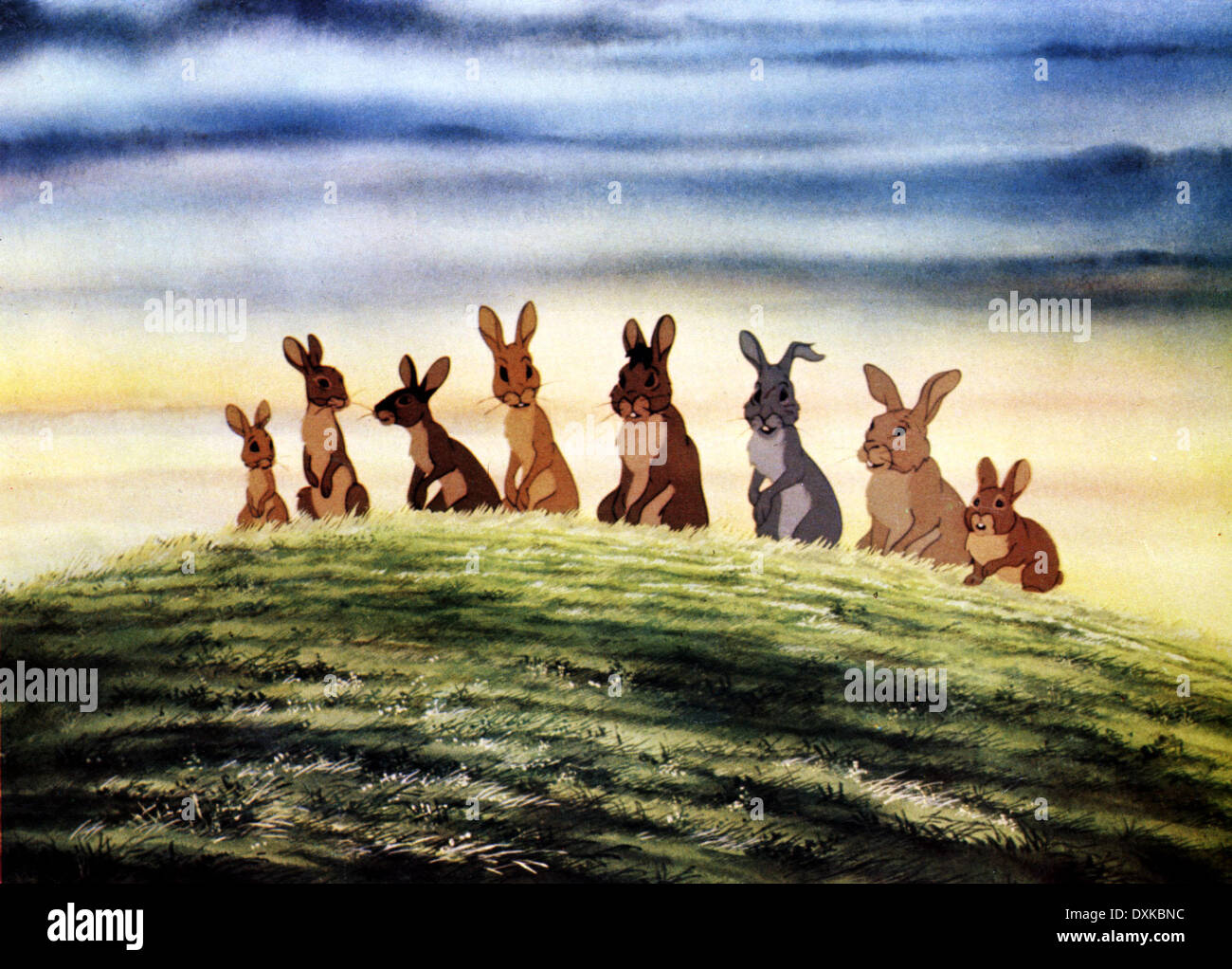 Watership down hi-res stock photography and images - Alamy