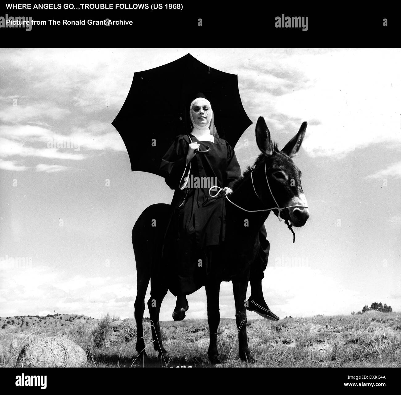 Where angels go trouble follows hi-res stock photography and images - Alamy