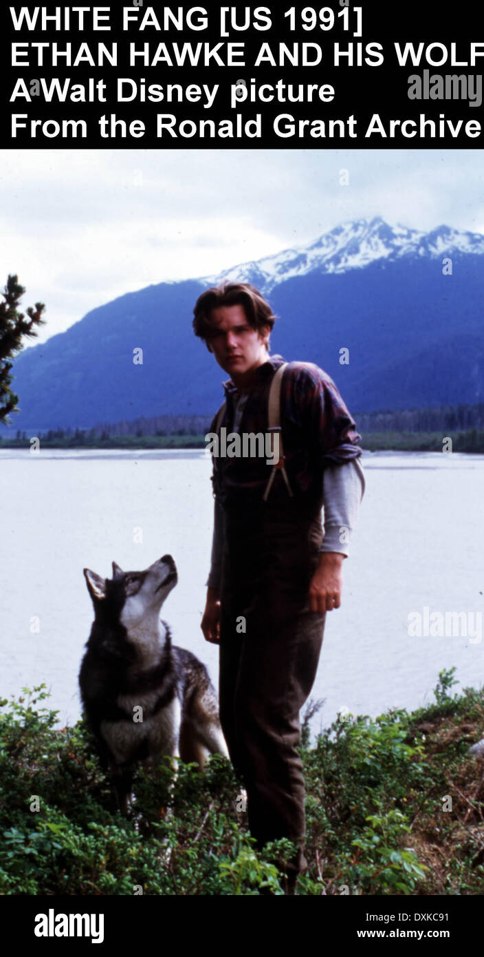 White fang ethan hi-res stock photography and images - Alamy