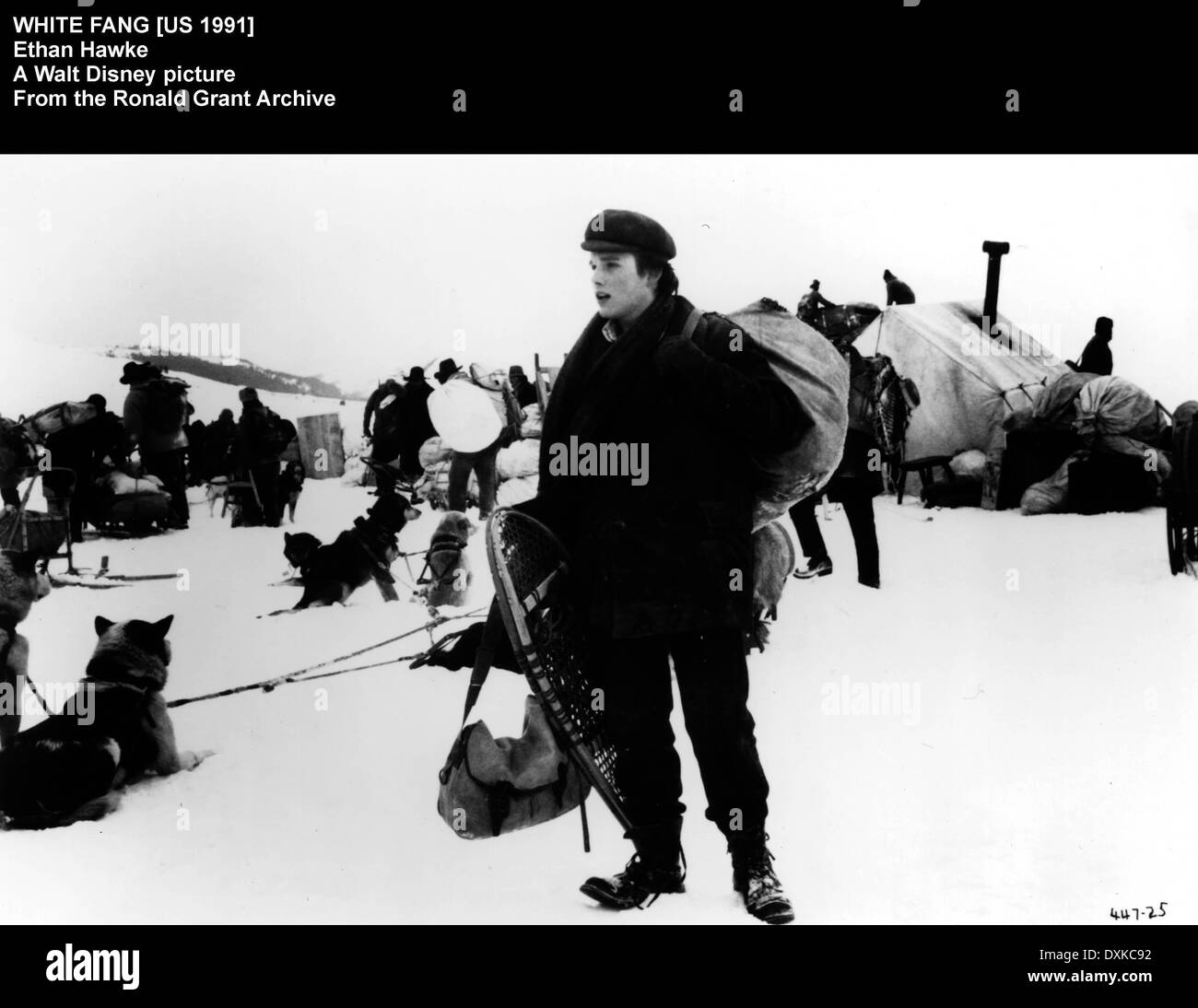 White fang ethan hawke 1991 hi-res stock photography and images - Alamy