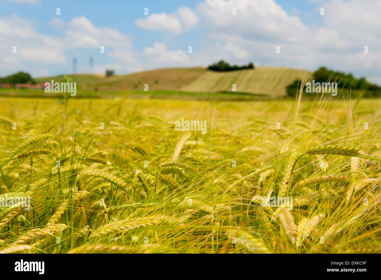 French agricultural land hi-res stock photography and images - Alamy