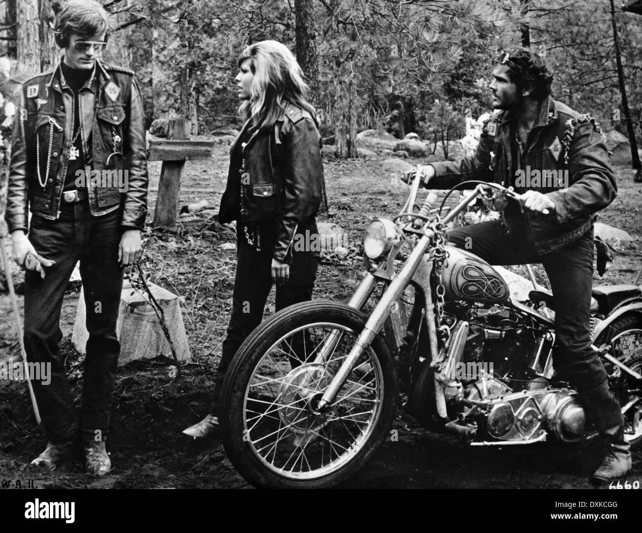 The Wild Angels Bruce Dern