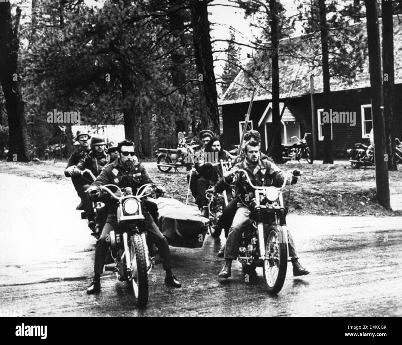 THE WILD ANGELS Stock Photo - Alamy