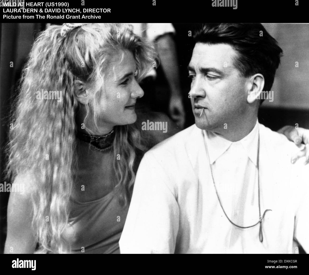 Sheryl Lee Wild At Heart