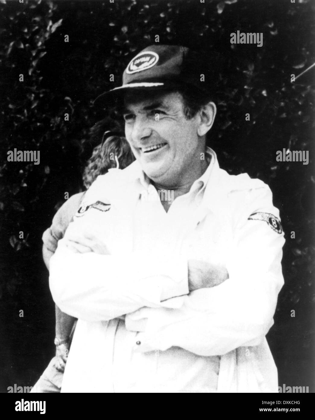 WILD GEESE II Stock Photo - Alamy