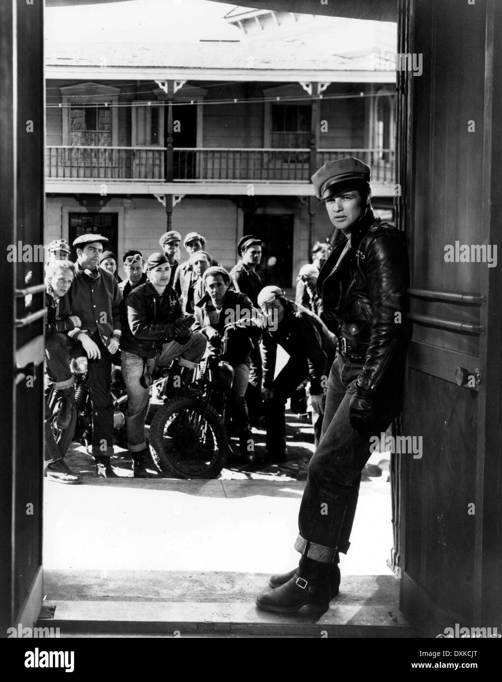 THE WILD ONE Stock Photo - Alamy