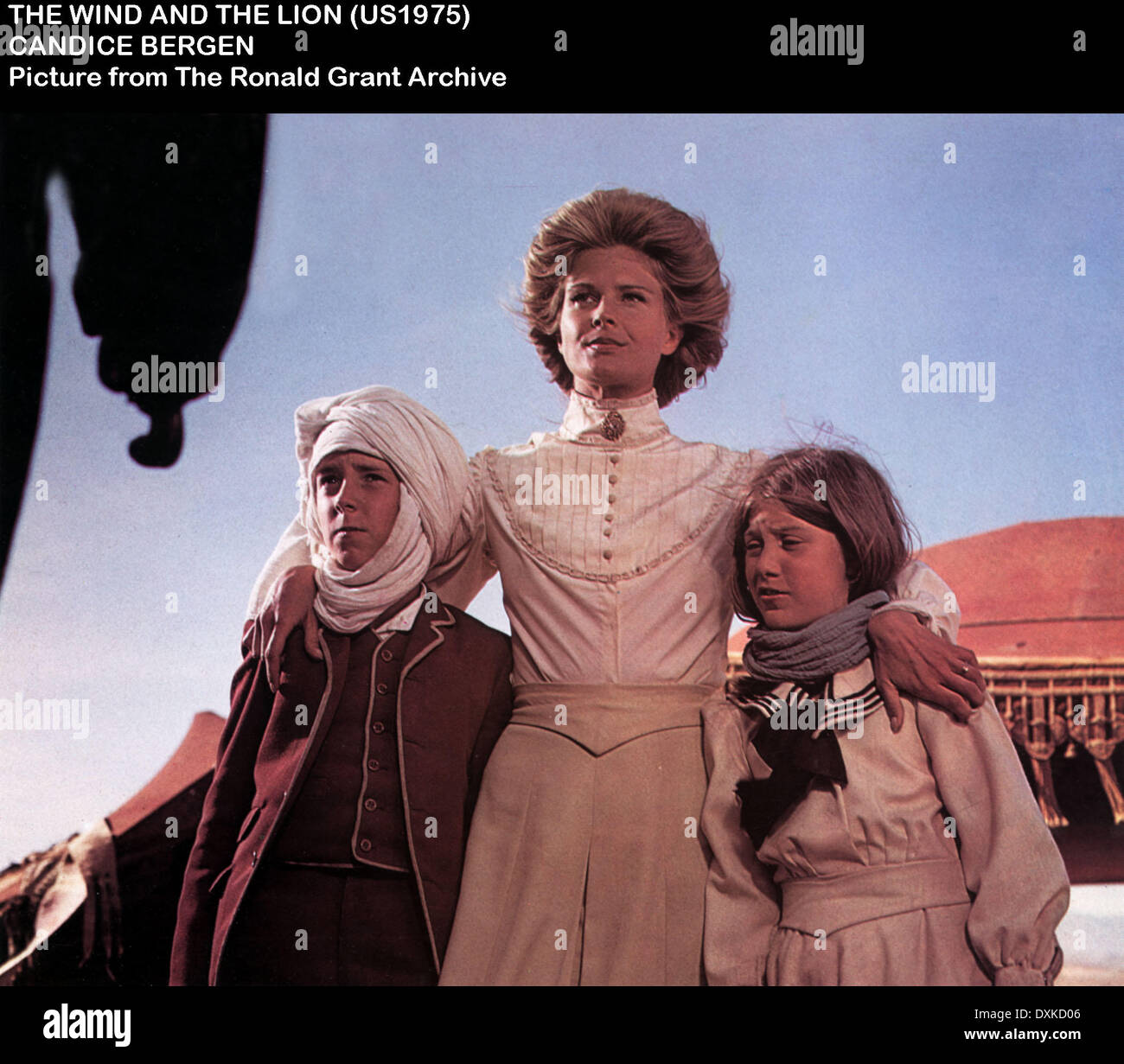 THE WIND AND THE LION Stock Photo - Alamy