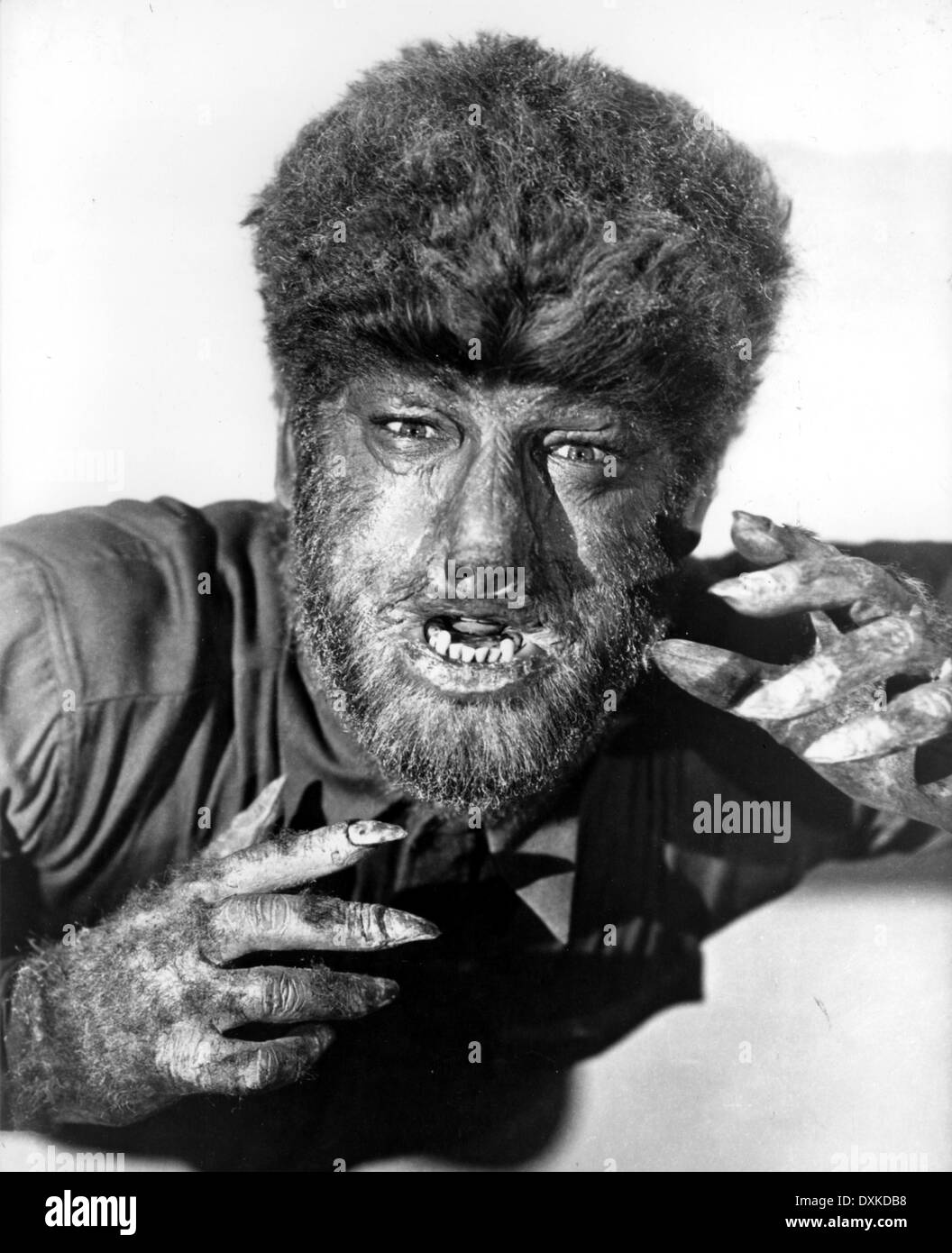 Man wolf hi-res stock photography and images - Alamy