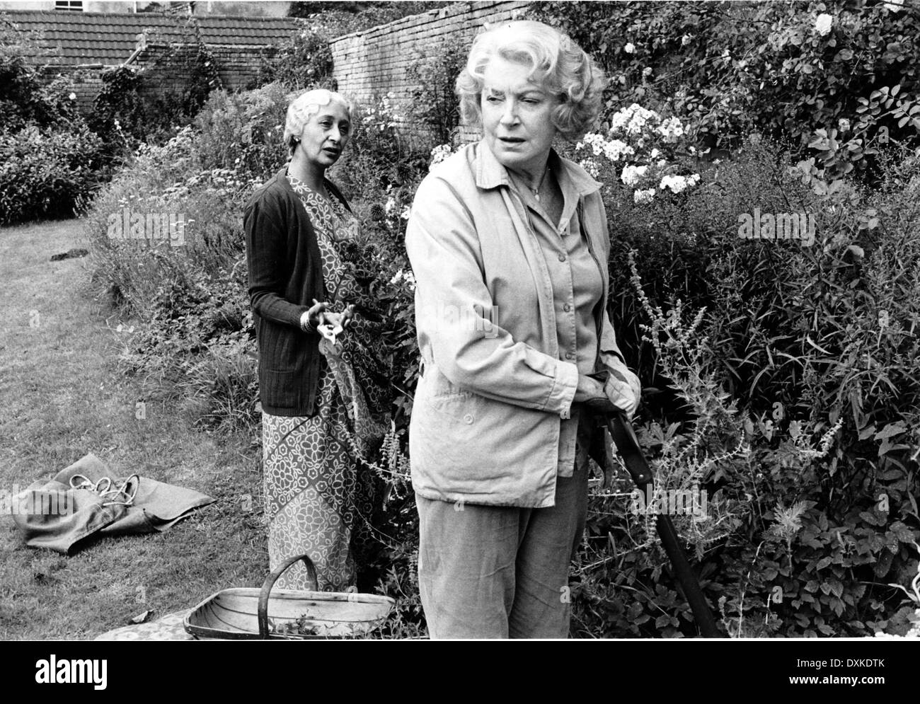 THE ASSAM GARDEN Stock Photo - Alamy