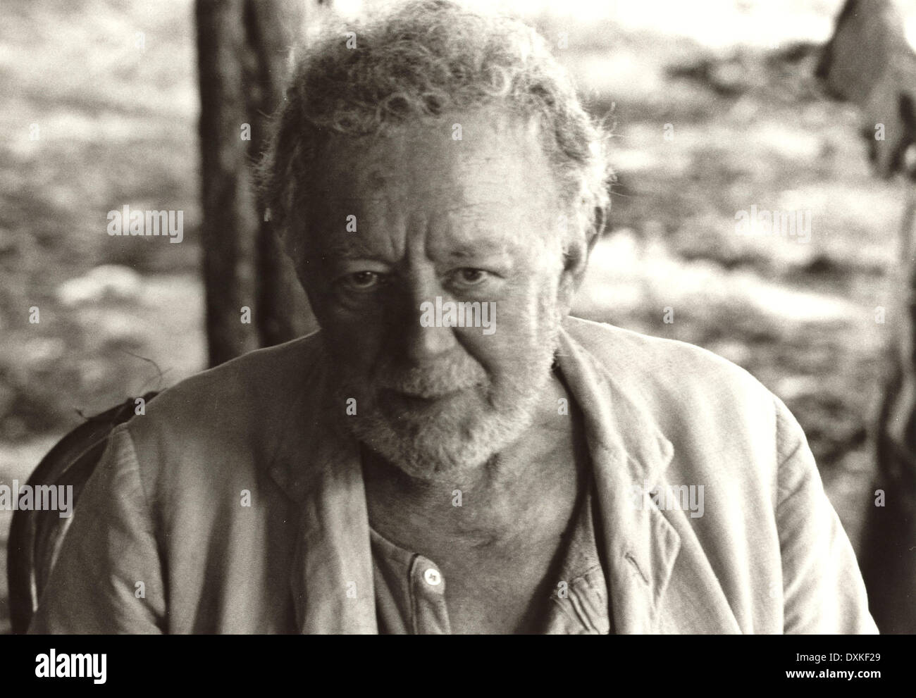 A handful of dust 1988 james wilby hi-res stock photography and images ...