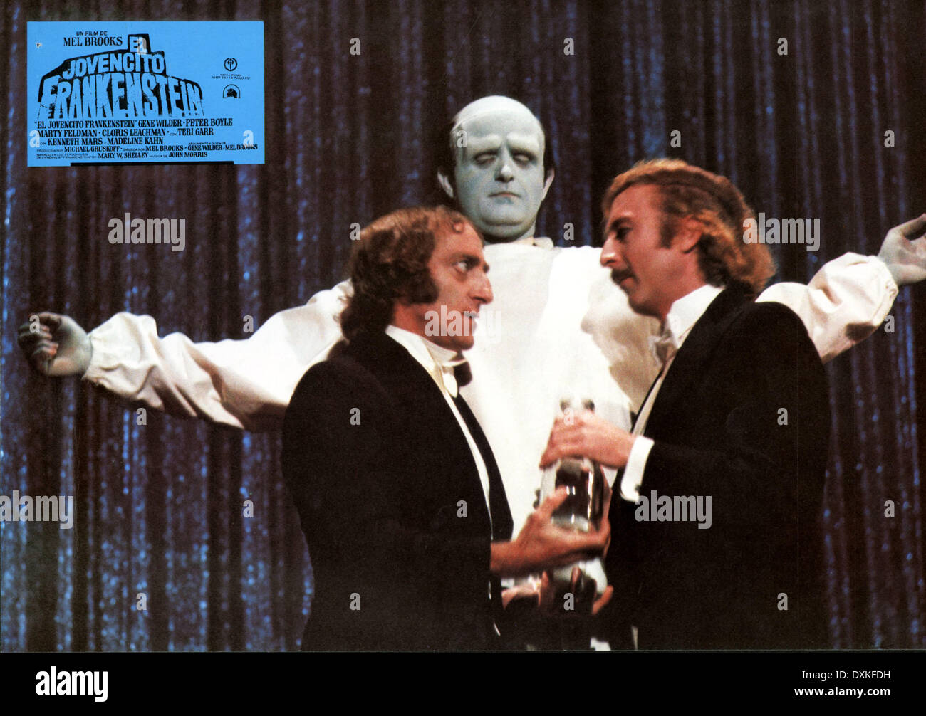 Young frankenstein hi-res stock photography and images - Alamy