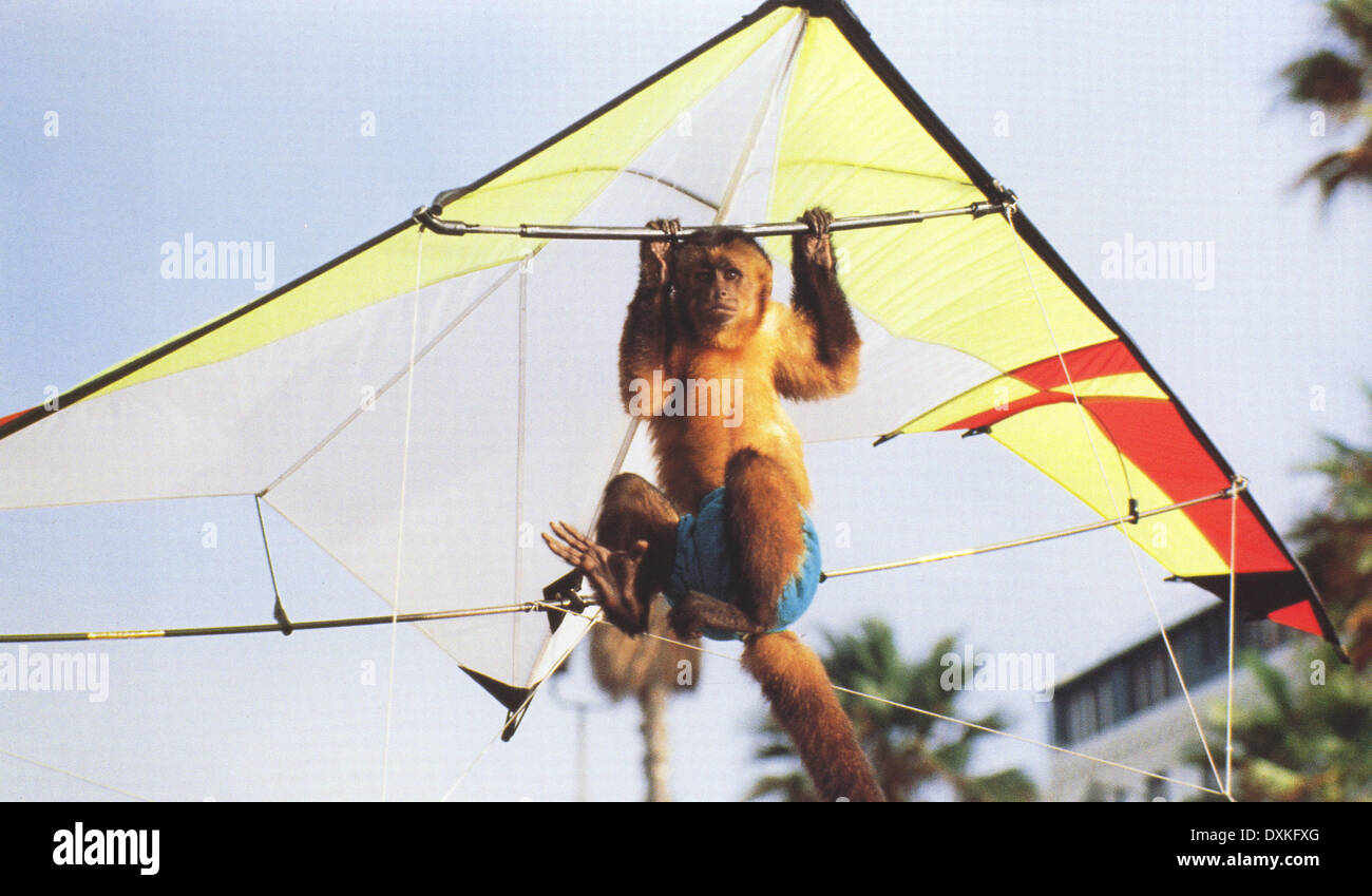 MONKEY TROUBLE (US/JAP 1994) FINSTER,as Dodger NEW LINE CINE Stock ...