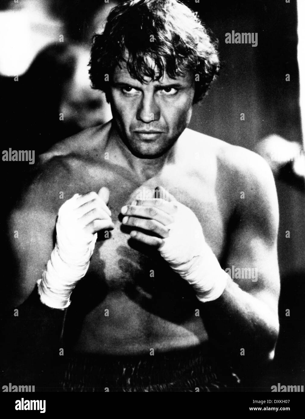 THE CHAMP Stock Photo - Alamy