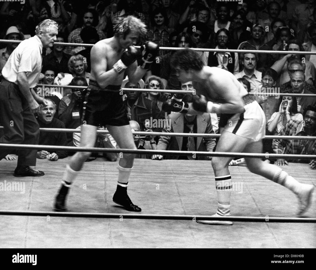 The champ voight hi-res stock photography and images - Alamy