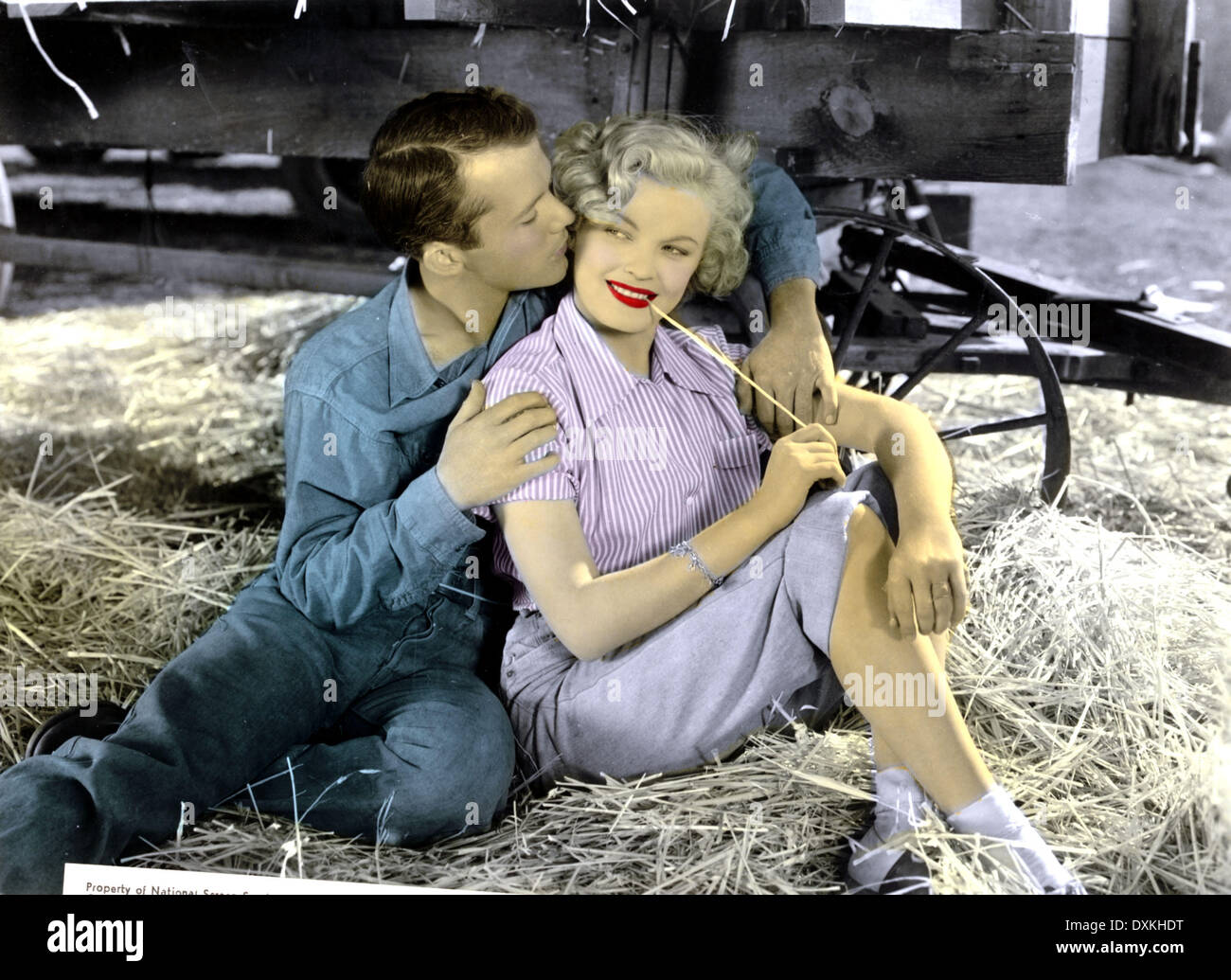 Hay lon hi-res stock photography and images - Alamy