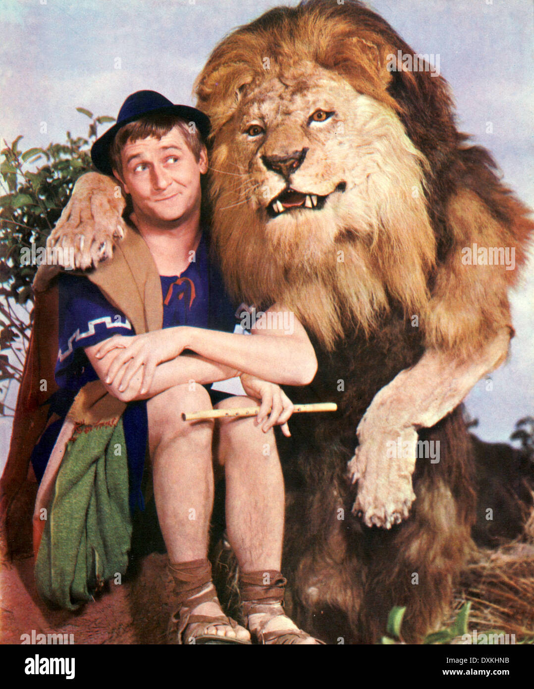 ANDROCLES AND THE LION Stock Photo - Alamy