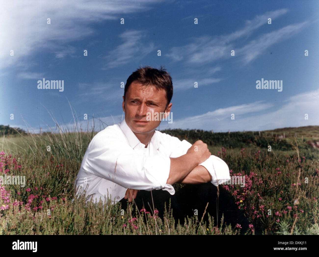 Robert carlyle hamish macbeth hi-res stock photography and images - Alamy