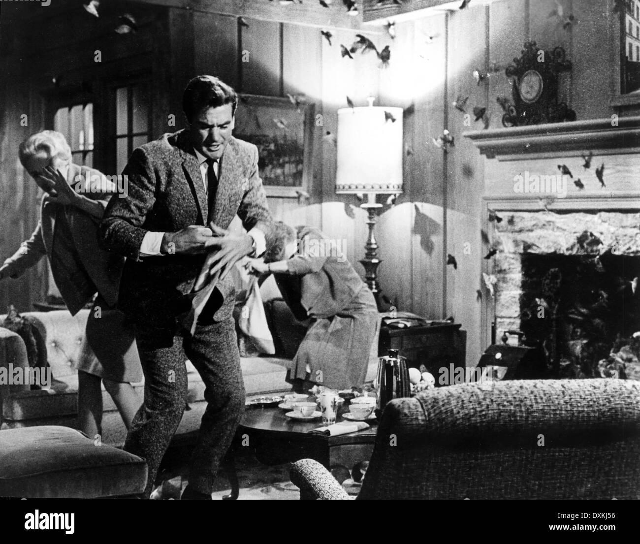 Birds 1963 Rod Taylor High Resolution Stock Photography and Images - Alamy