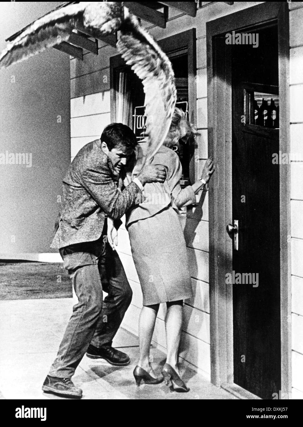 Birds 1963 rod taylor hi-res stock photography and images - Alamy