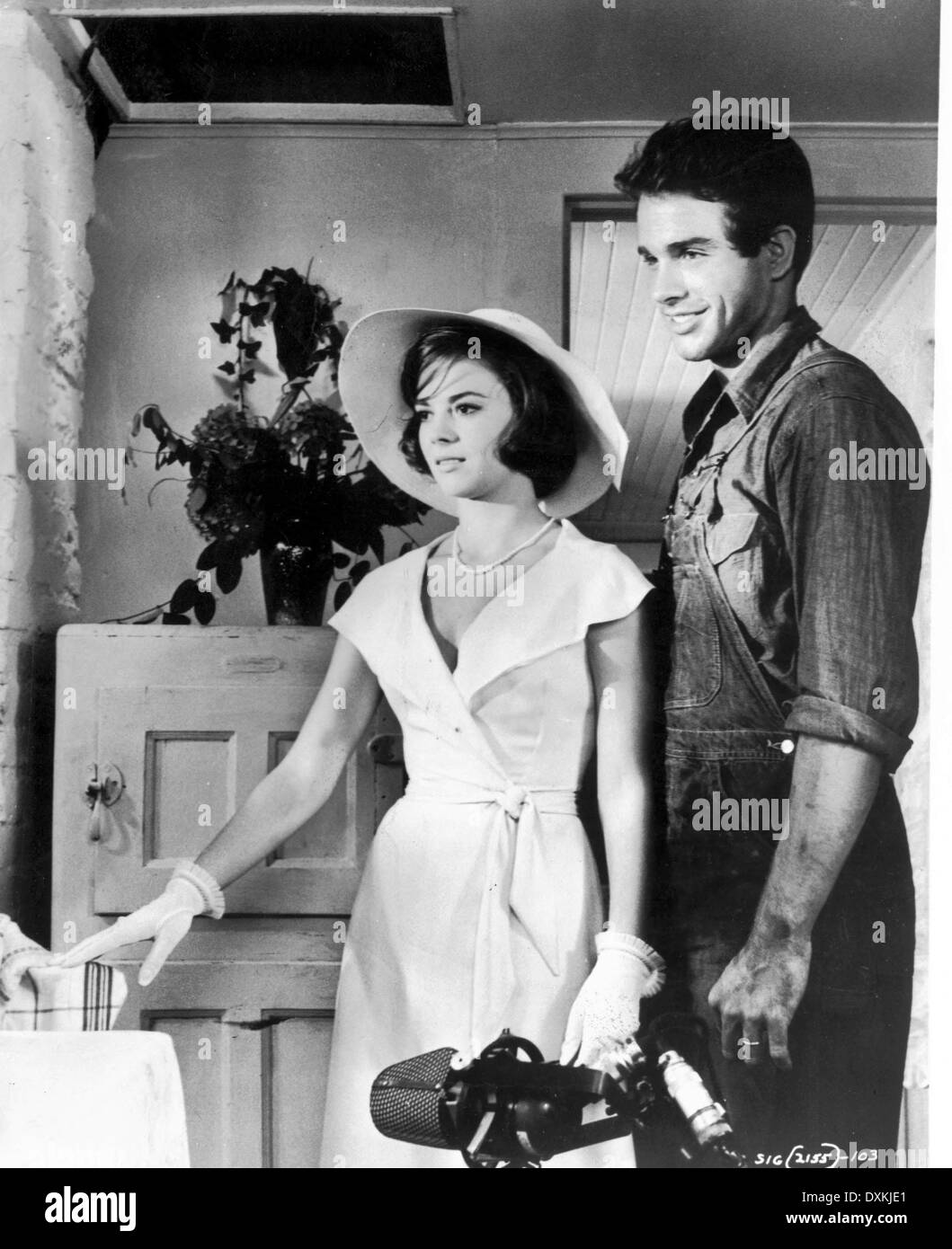 Splendor in the grass 1961 hi-res stock photography and images - Alamy