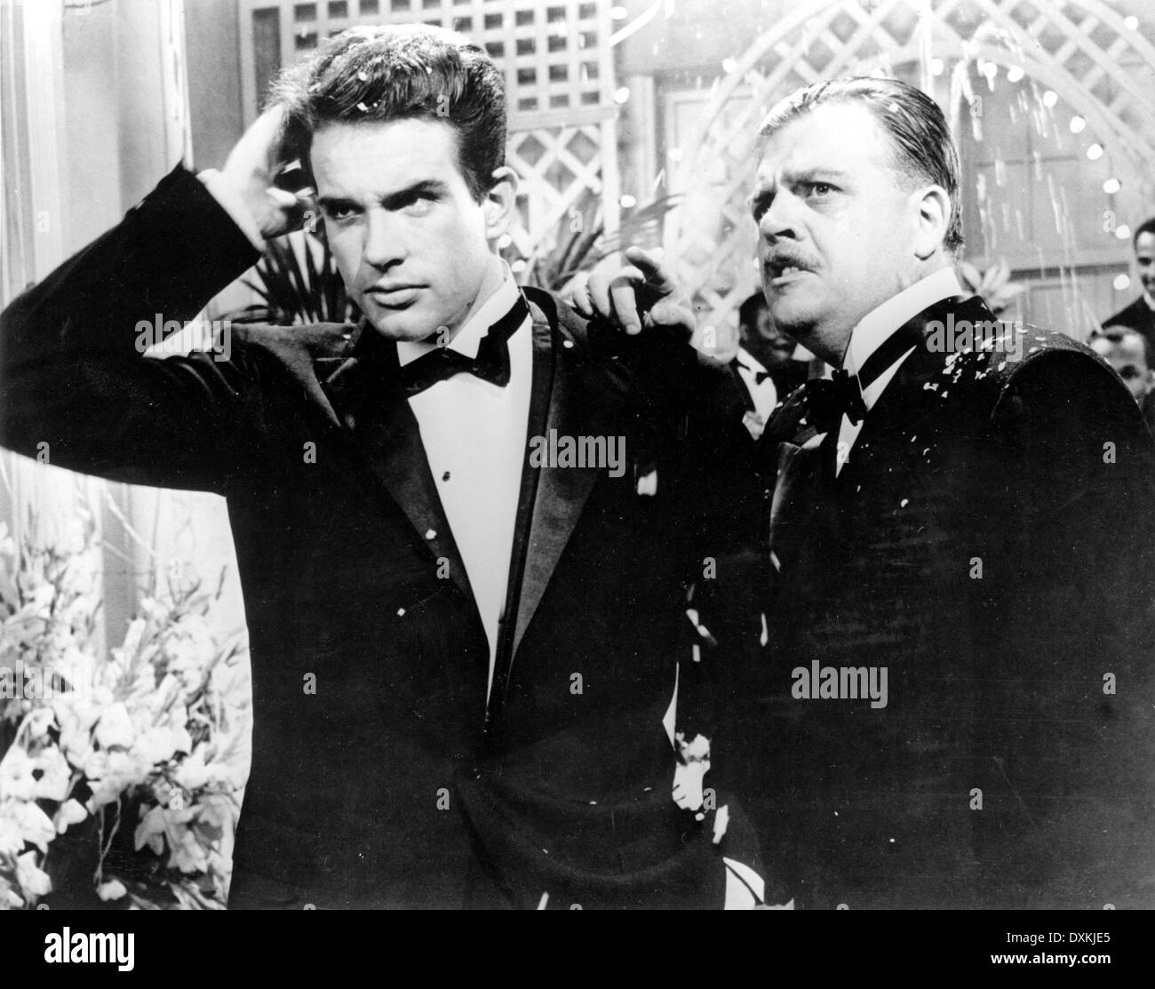 Splendor in the grass 1961 hi-res stock photography and images - Alamy