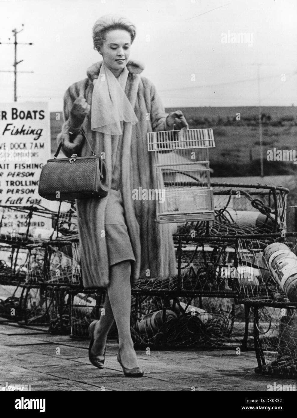 Tippi hedren the birds hi-res stock photography and images - Alamy