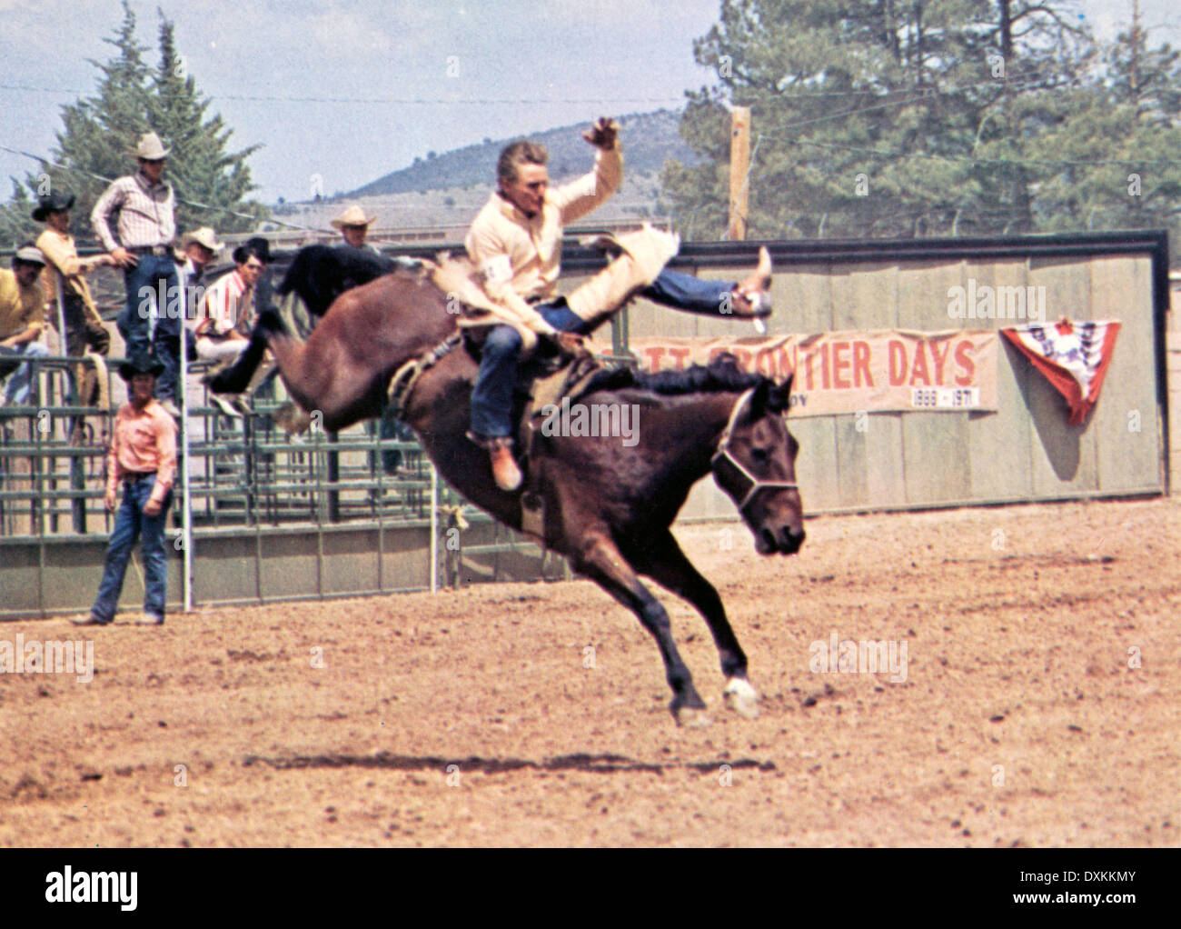 Junior bonner hi-res stock photography and images - Alamy