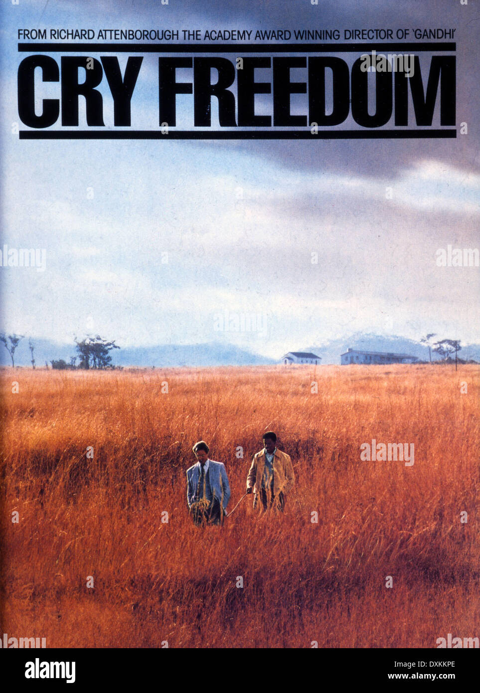 Cry Freedom Poster