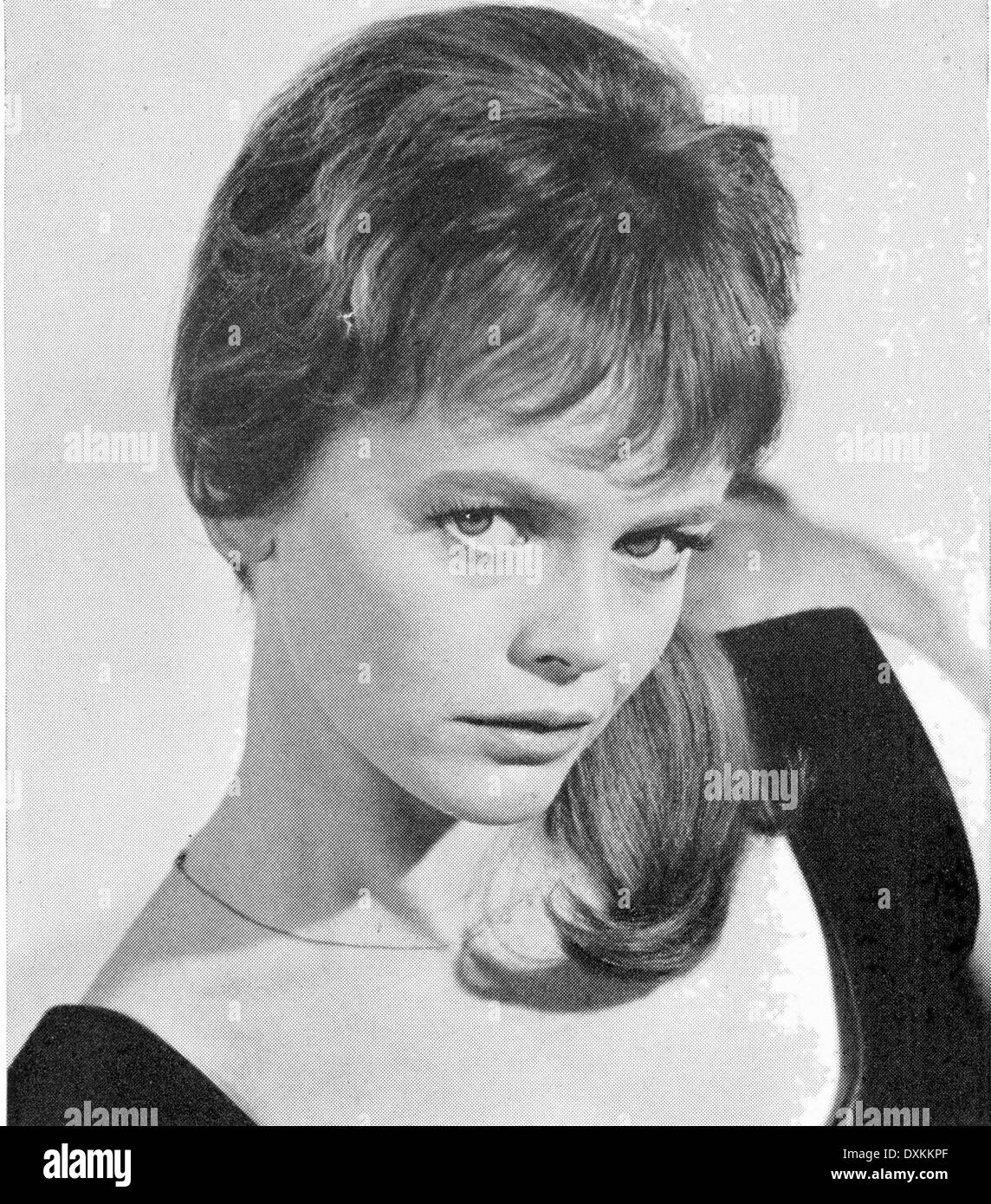 JUDITH STOTT (c1962) actress Married to comedian Dave Alle Stock Photo ...