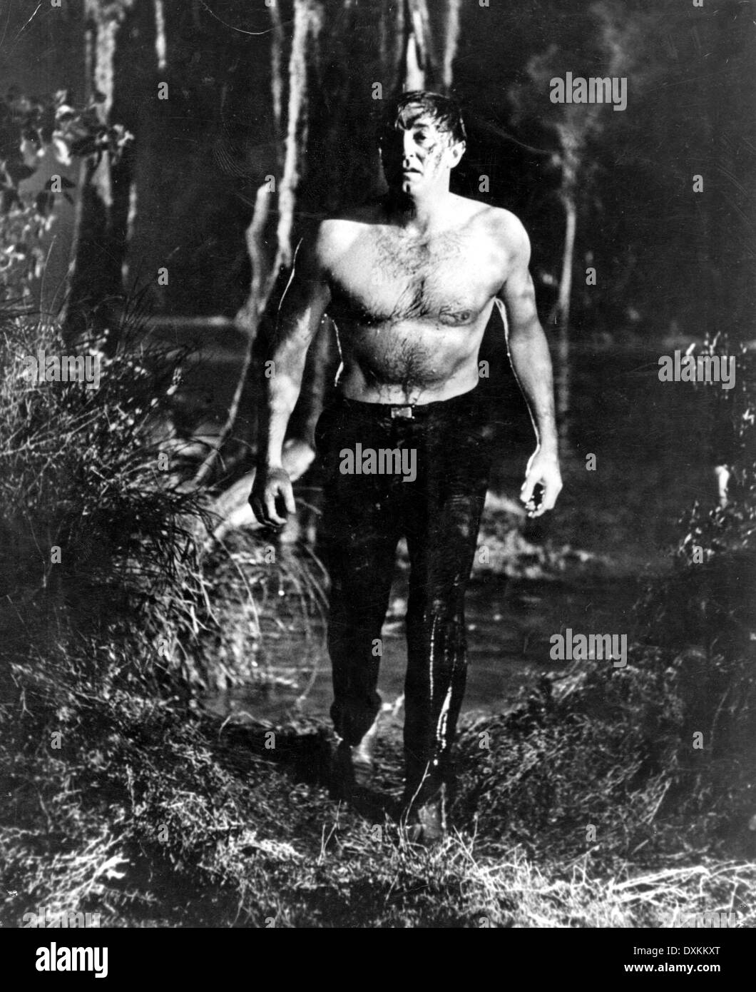 Cape fear movie hi-res stock photography and images - Alamy