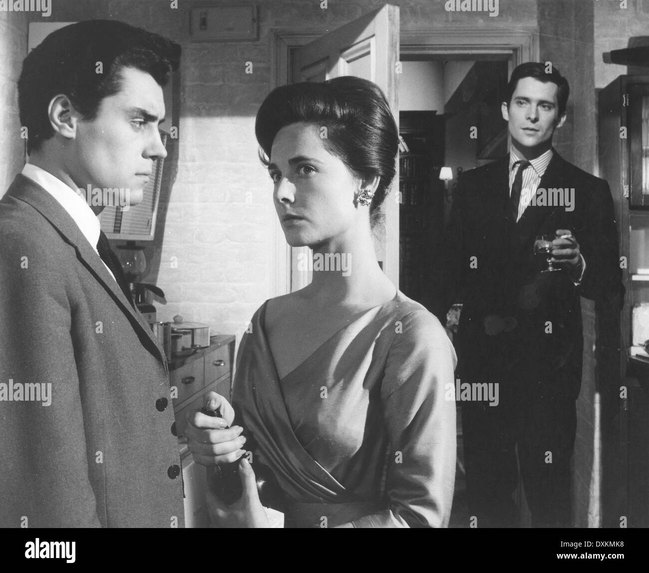 THE WILD AND THE WILLING Stock Photo - Alamy