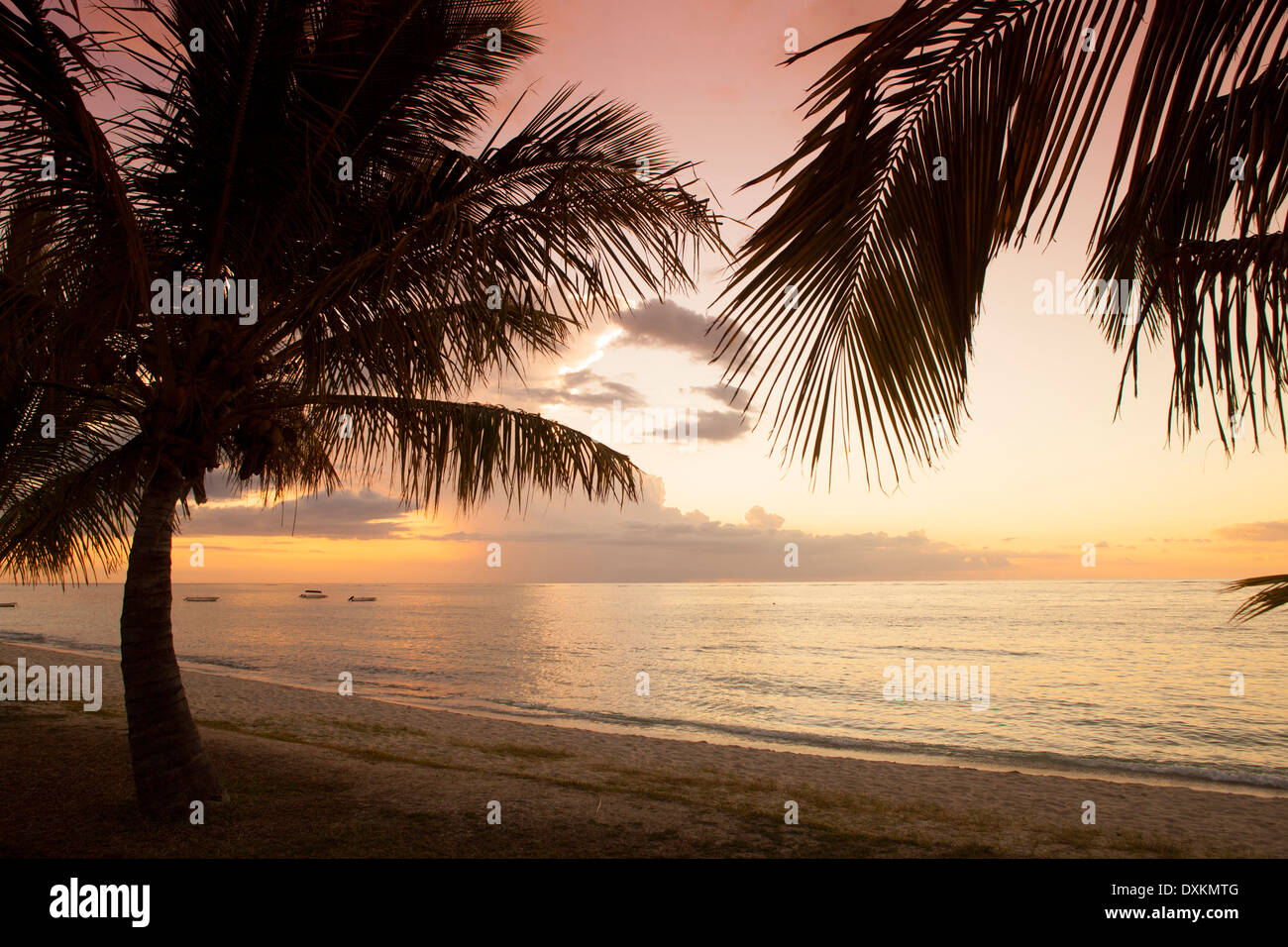 Mauritius Beach Sunset High Resolution Stock Photography and Images - Alamy