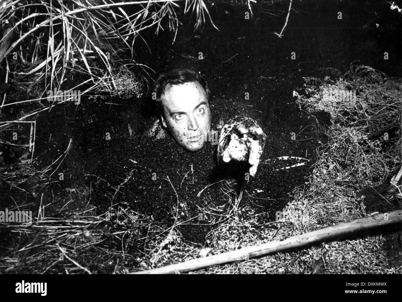 Leech Black and White Stock Photos & Images - Alamy