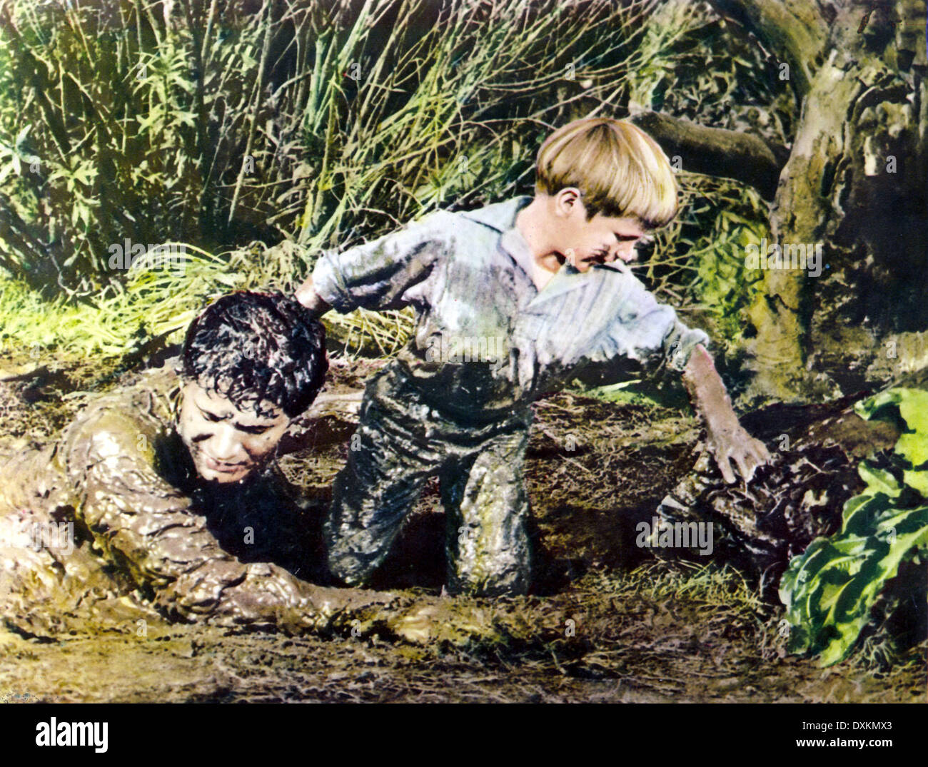 Woman Obsessed Stock Photos & Woman Obsessed Stock Images - Alamy