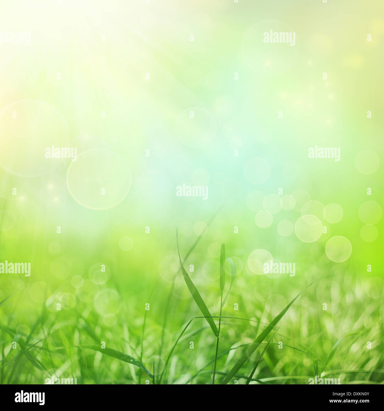 Design background. Spring or summer nature background Stock Photo - Alamy