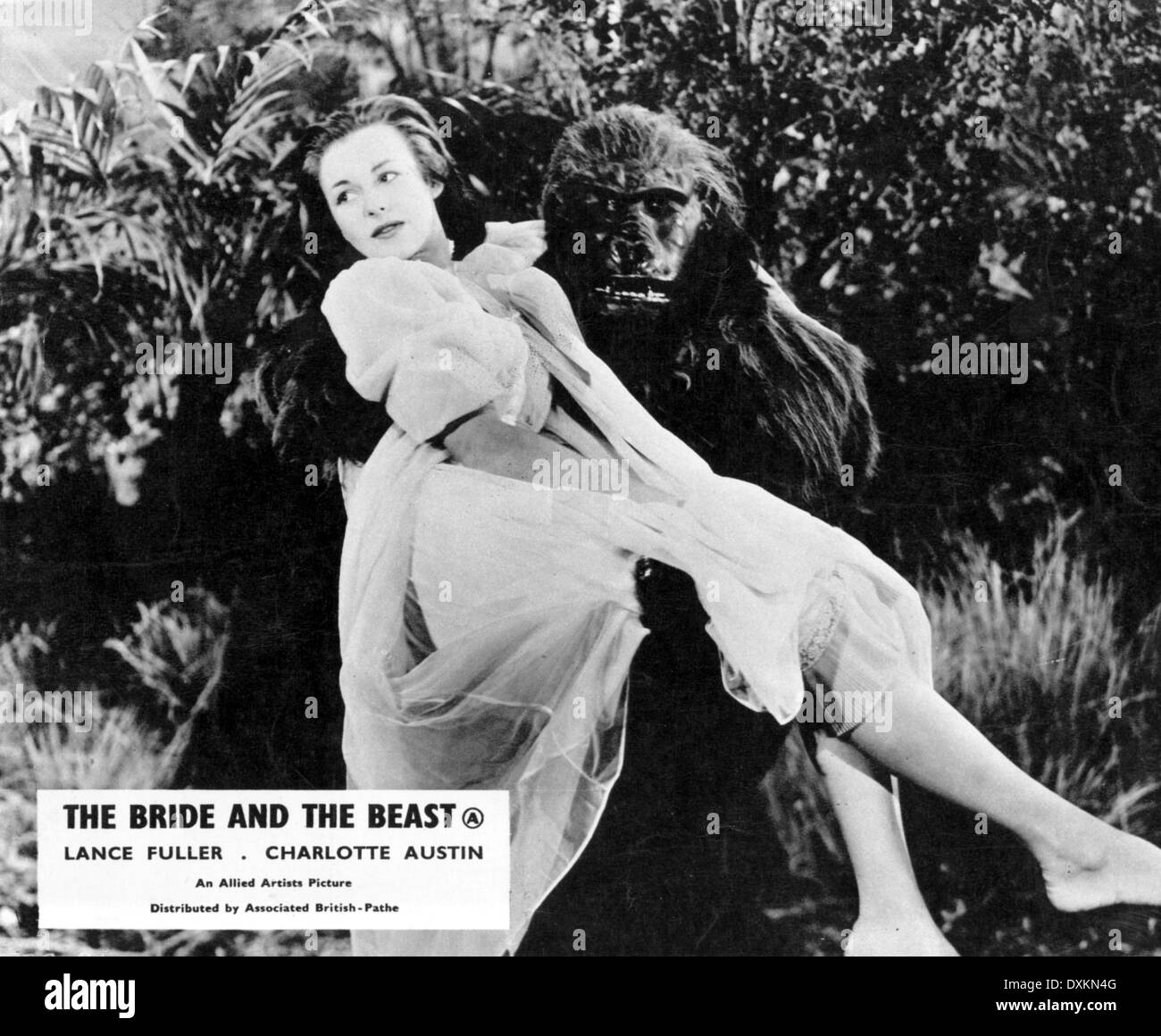 THE BRIDE AND THE BEAST Stock Photo - Alamy