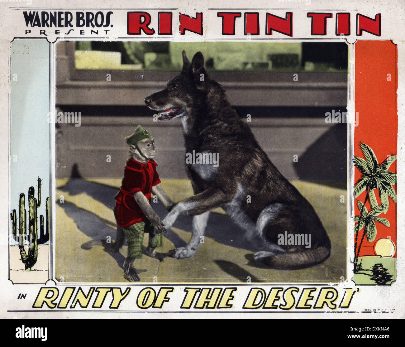 Rin tin tin movie hi-res stock photography and images - Alamy