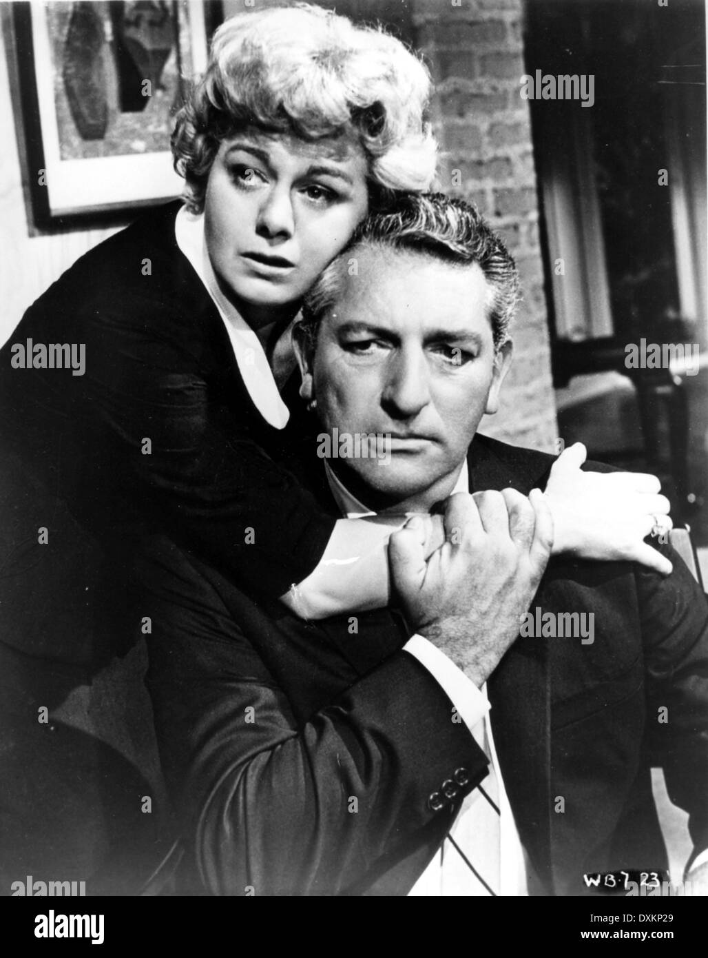 THE CHAPMAN REPORT Stock Photo - Alamy