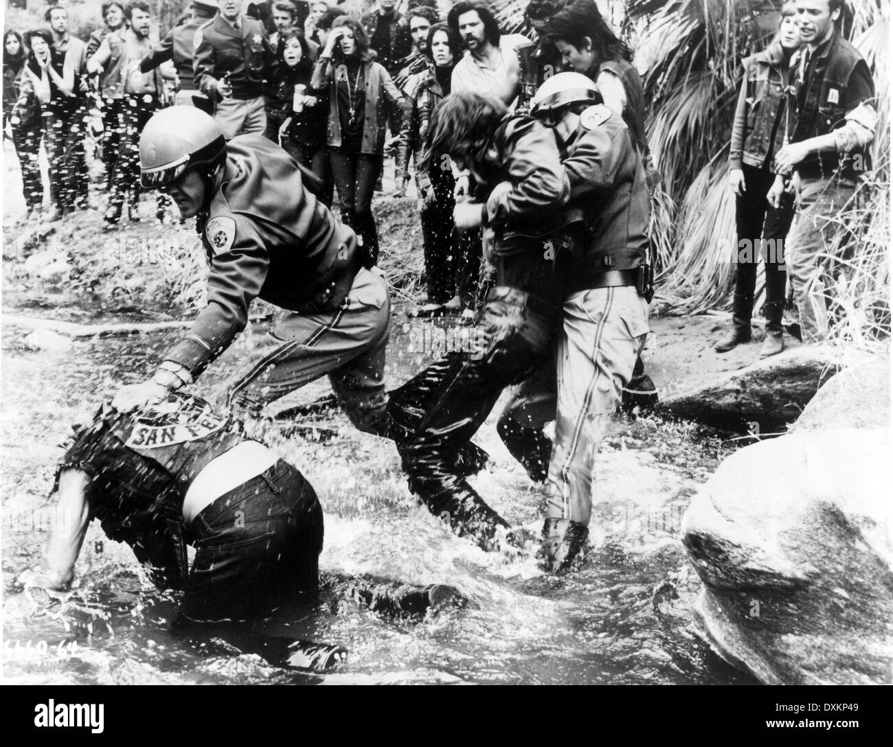 THE WILD ANGELS Stock Photo - Alamy