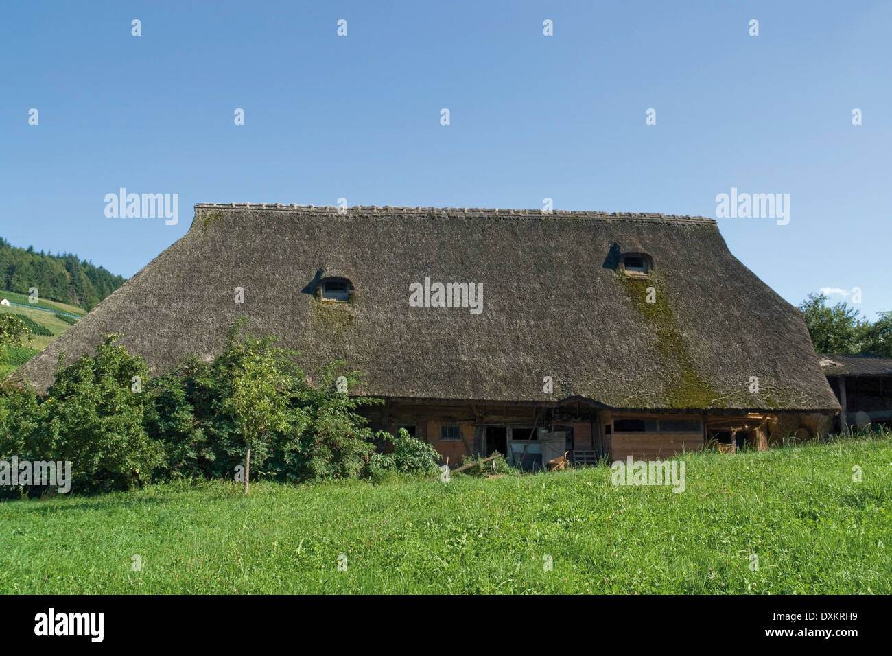 a traditional Black Forest Farmstead in Southern Germany at summer time ...