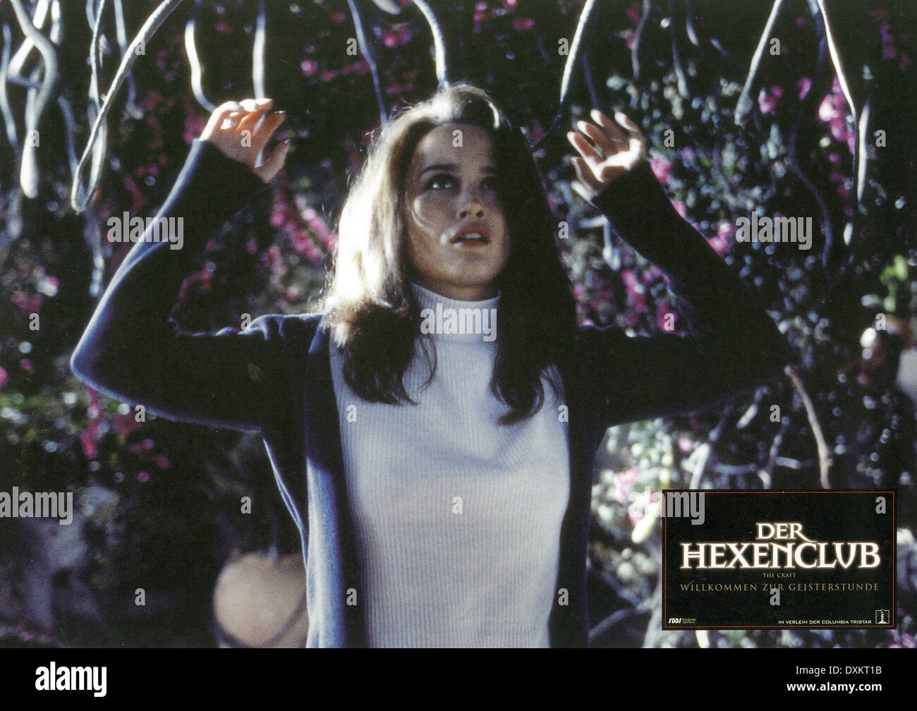 Robin tunney craft hi-res stock photography and images - Alamy