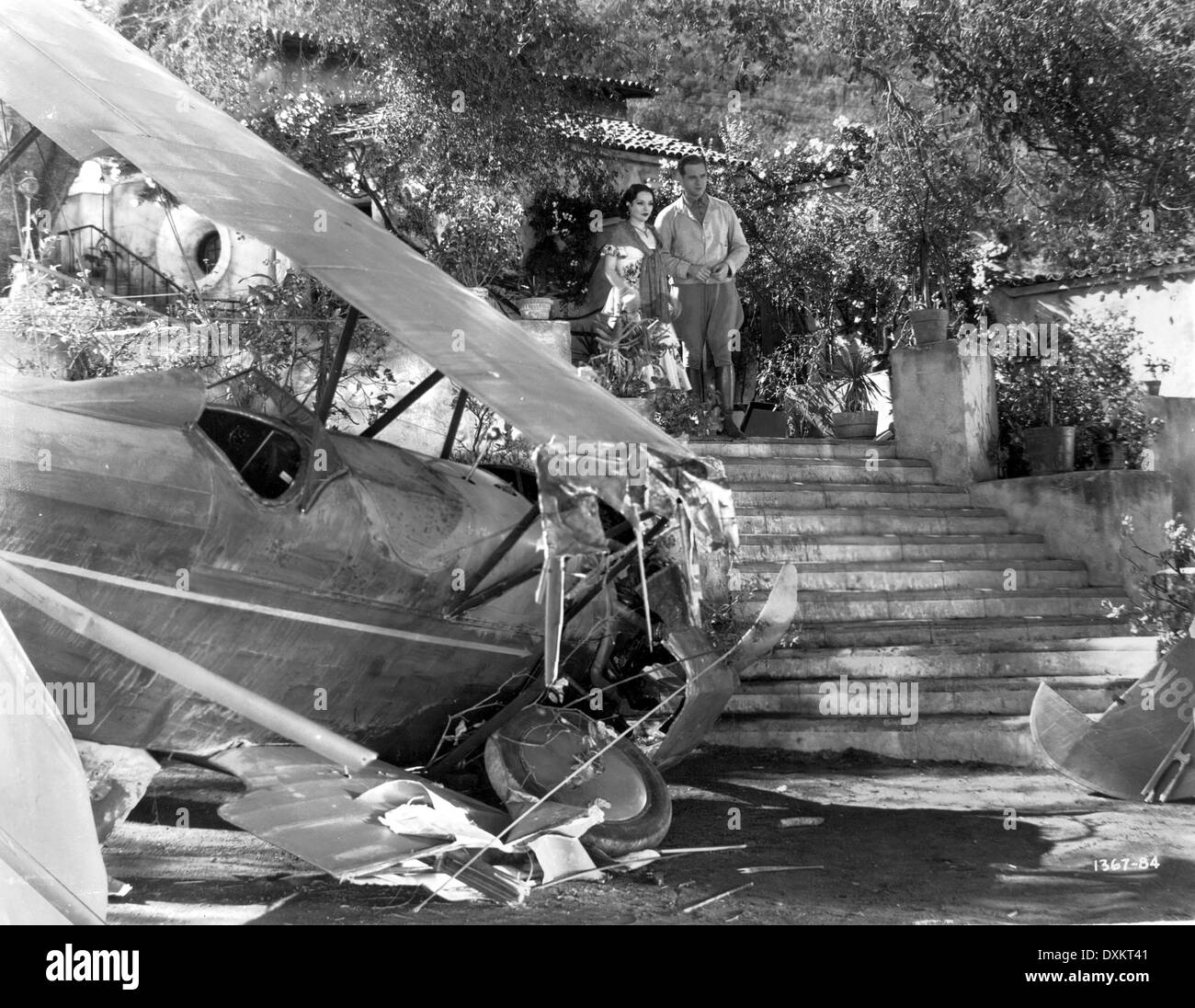 THE BROKEN WING Stock Photo - Alamy
