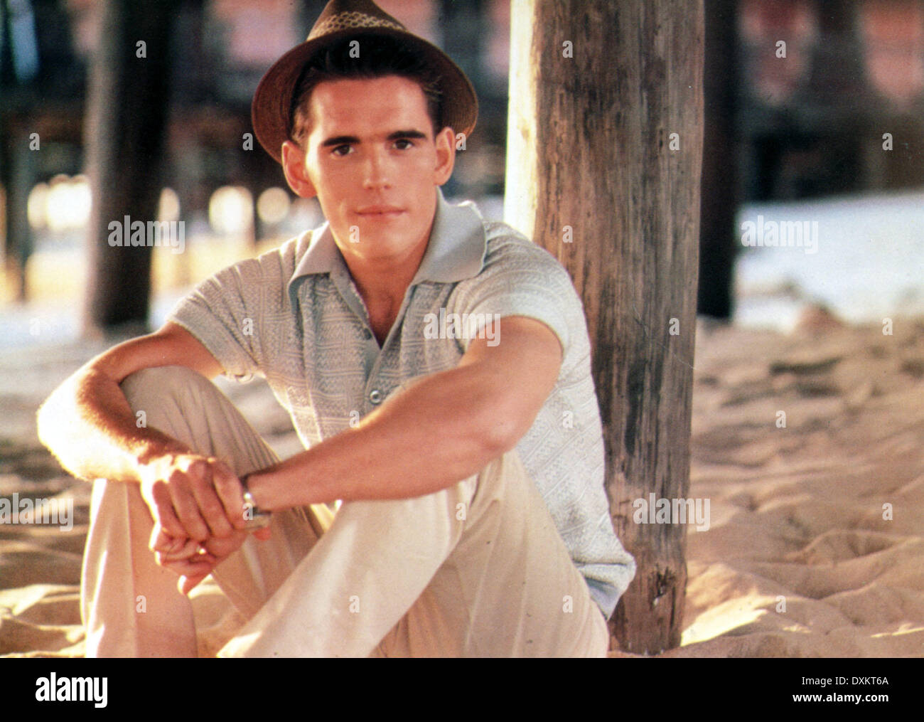 THE FLAMINGO KID Stock Photo - Alamy