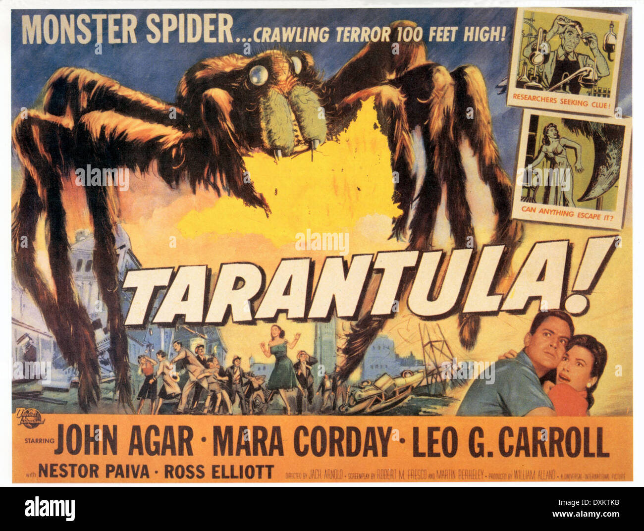 1955 tarantula hi-res stock photography and images - Alamy