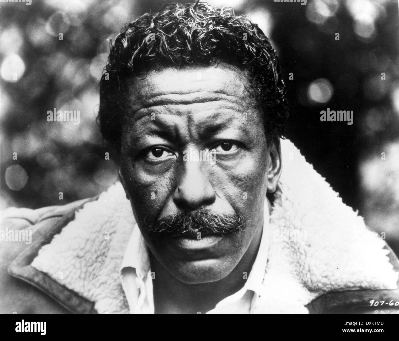 Learning tree gordon parks hi-res stock photography and images - Alamy