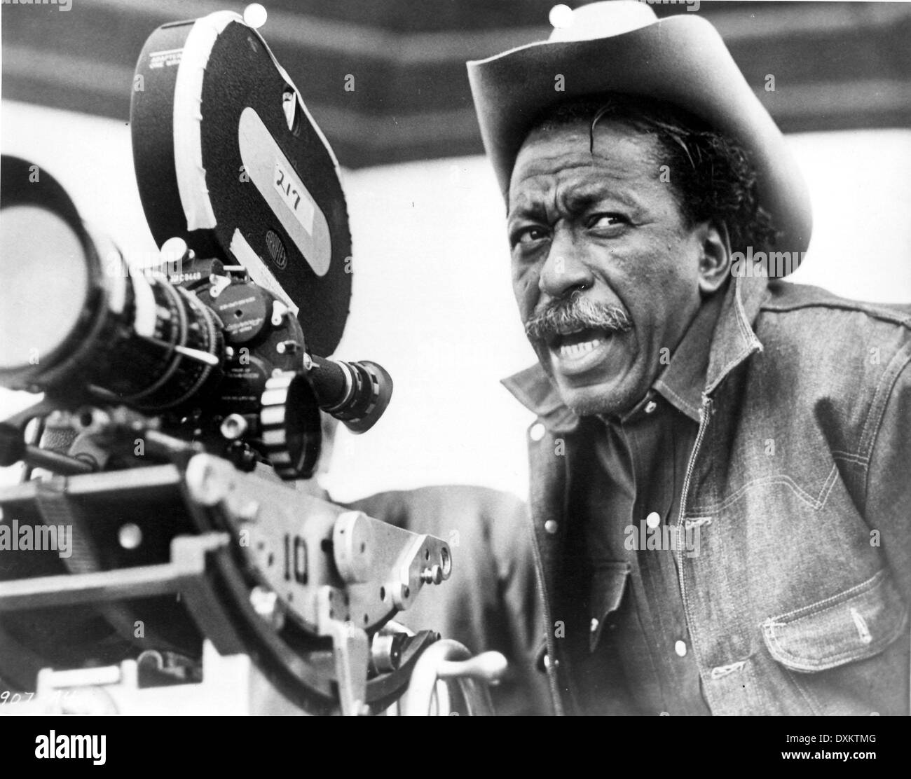 THE LEARNING TREE Stock Photo - Alamy